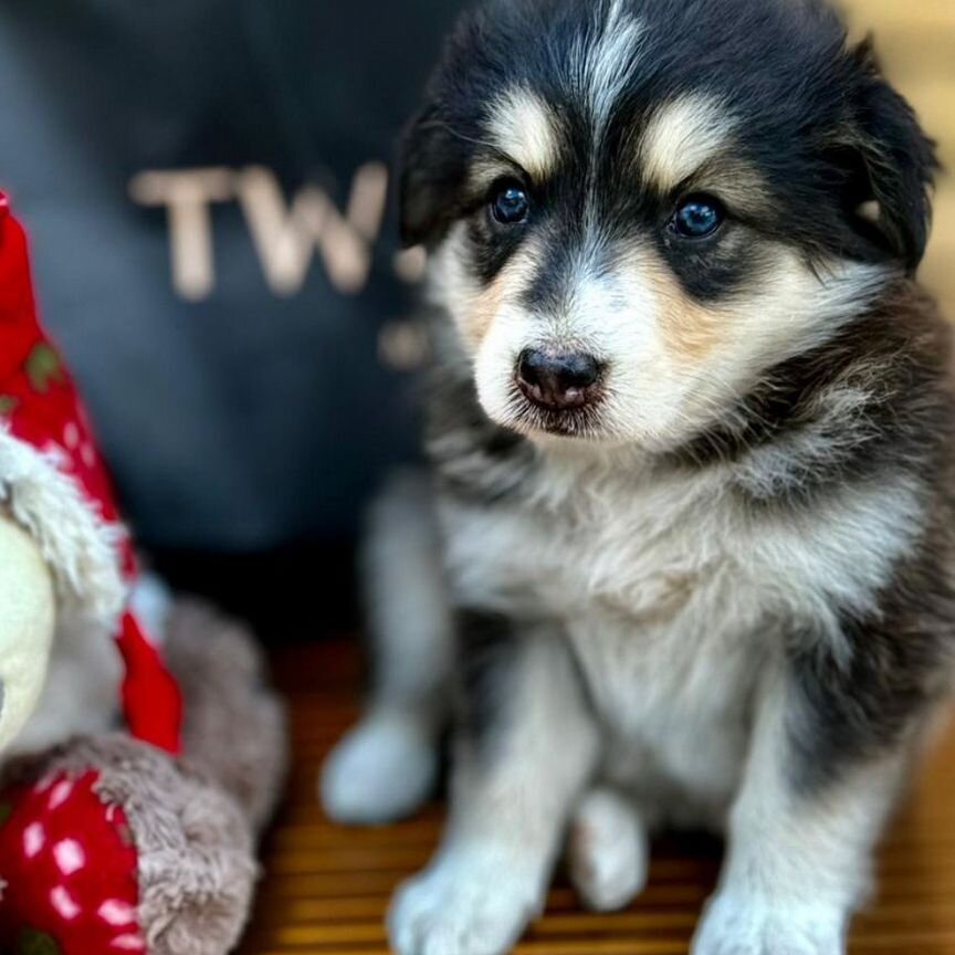 Симпатичная девчёнка