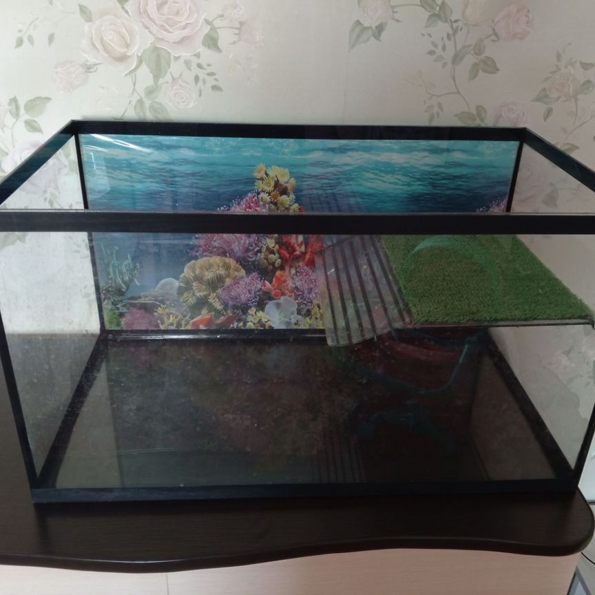 Аквариум с трещиной