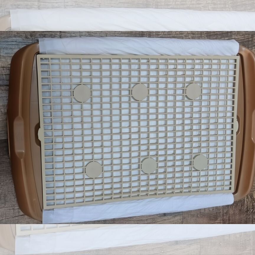 Лоток туалет для собак