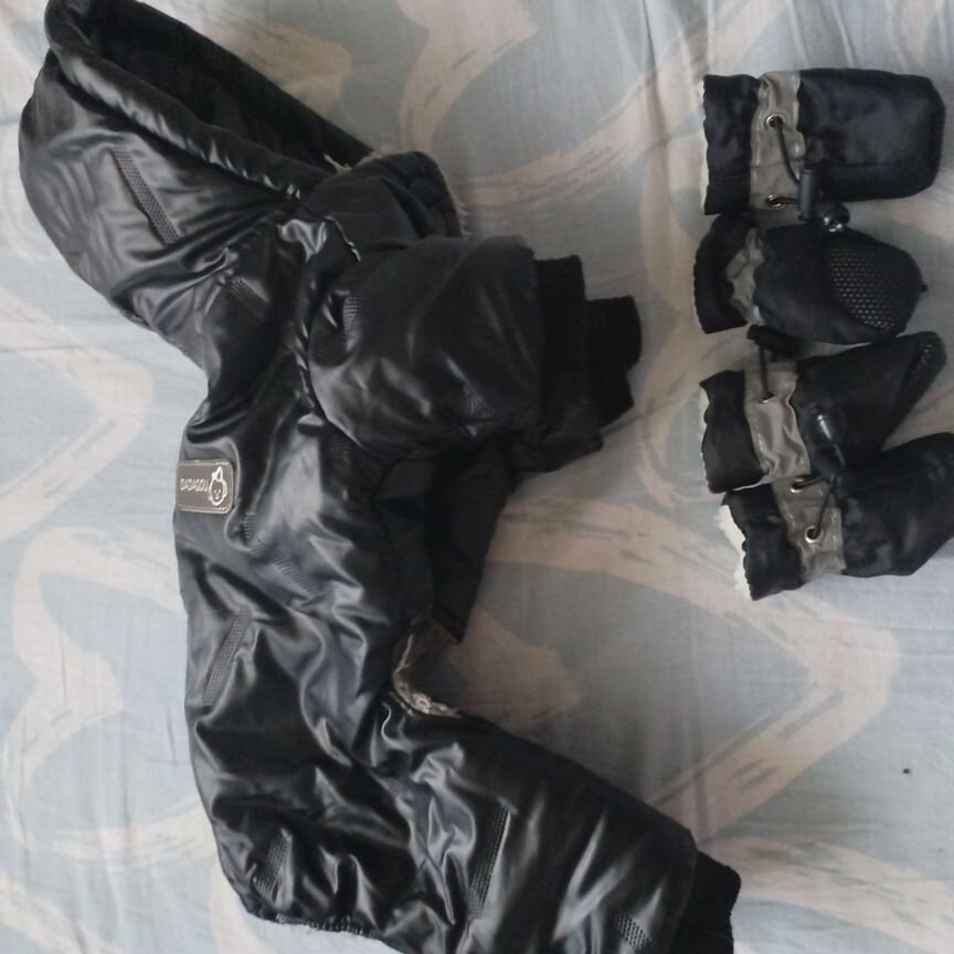 Одежда для собак мелких пород мальчик