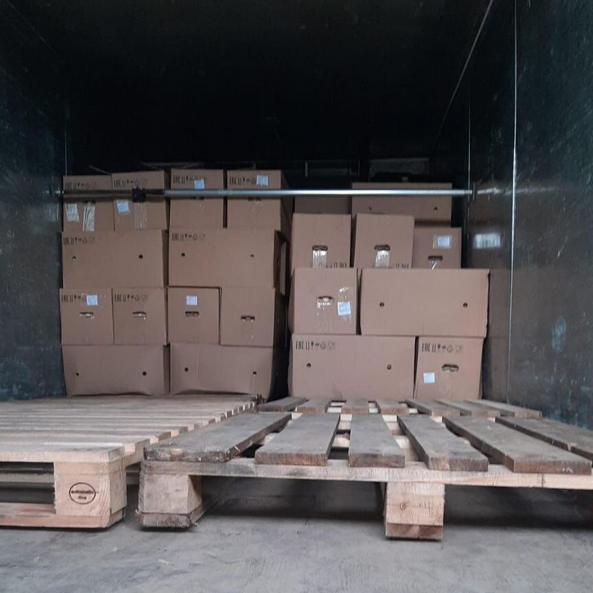 Инкубационное яйцо бройлера