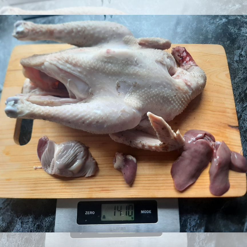 Молодые петушки на мясо