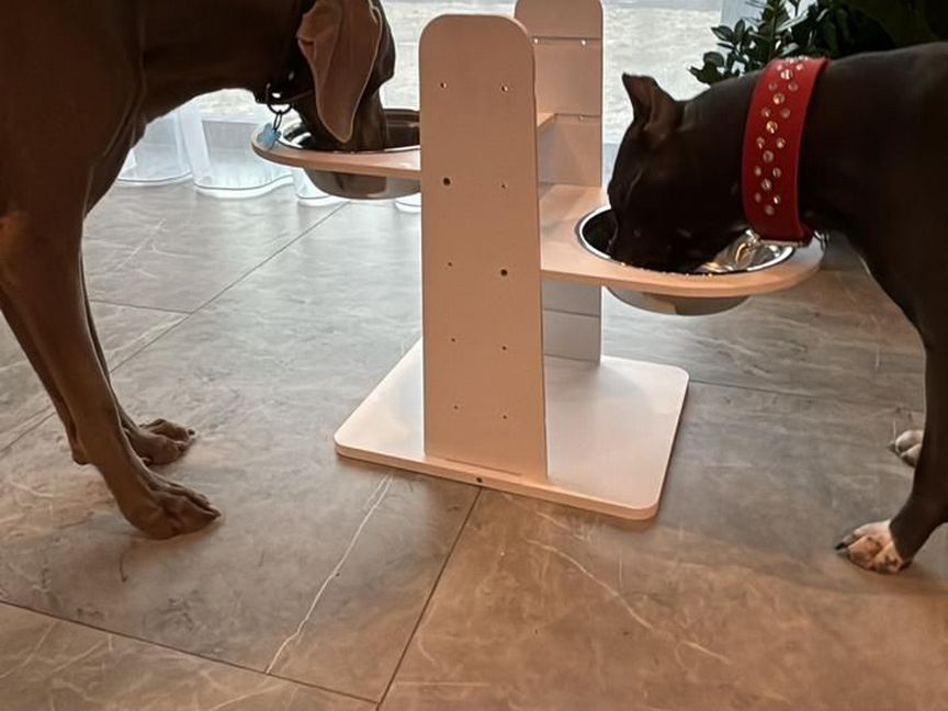 Кормушка для собак средних и крупных пород