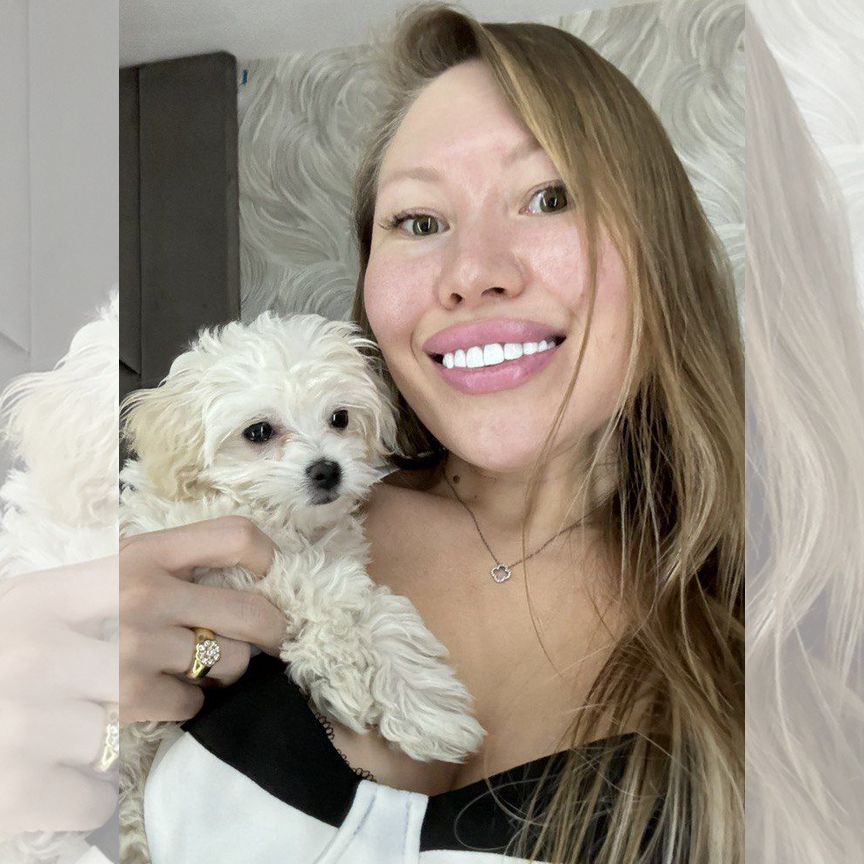 Той-пудель мини редкого белого цвета