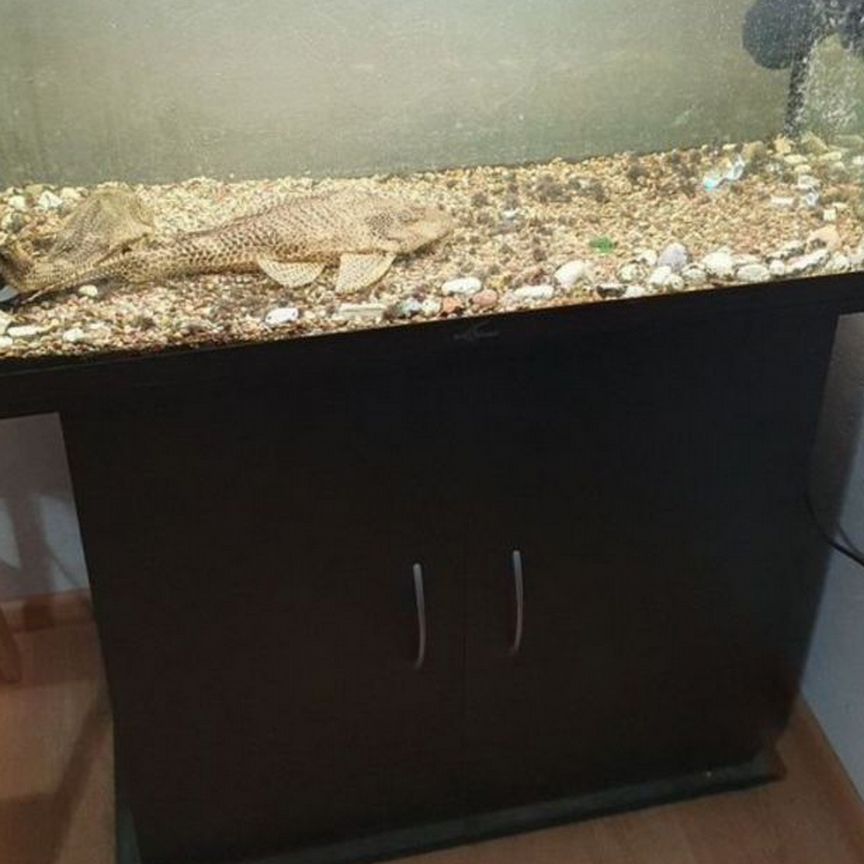Аквариум с тумбой 200л
