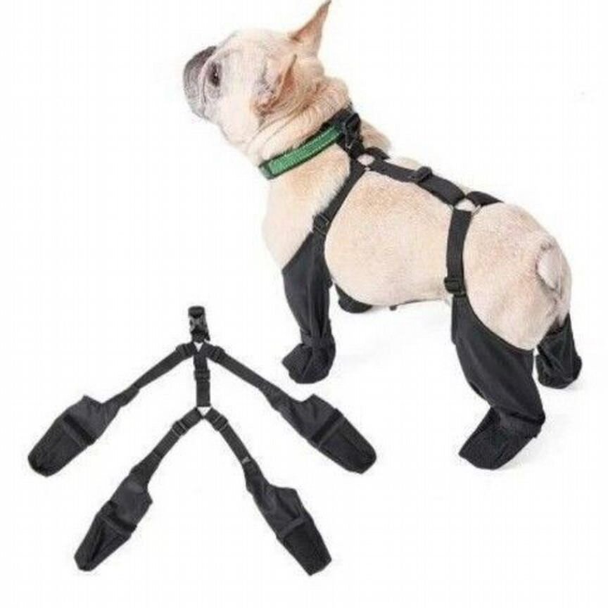 Обувь демисезонная для собак