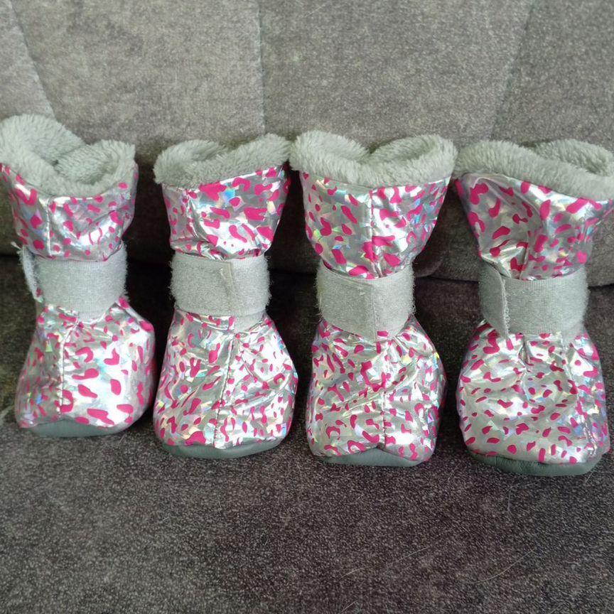 Обувь для маленьких собак