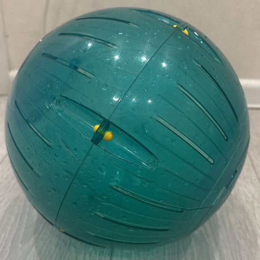 Беговой шар для грызунов