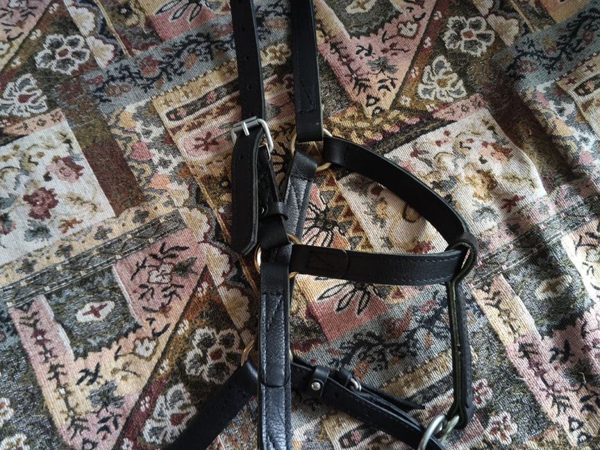 Недоуздок для лошади