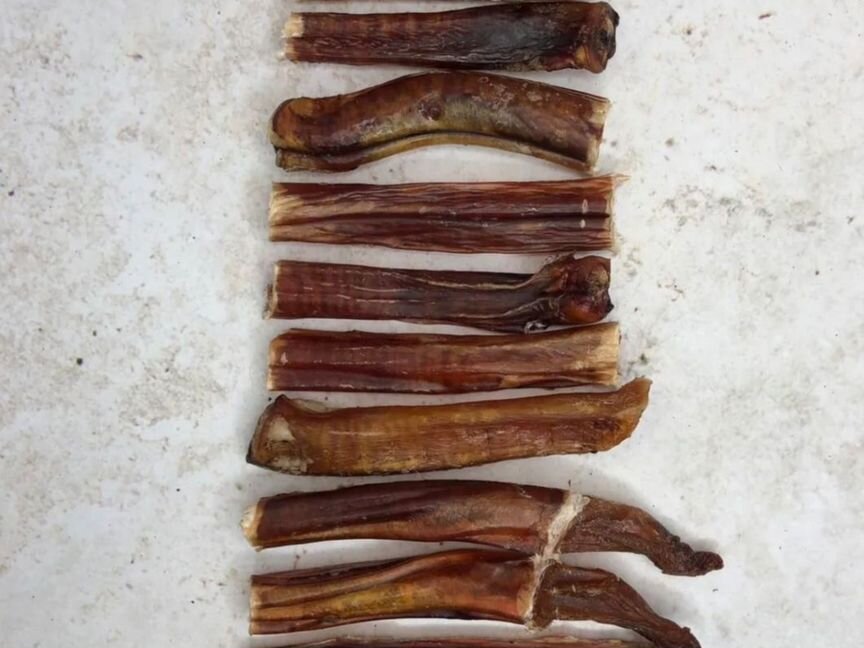 Бычий корень для собак