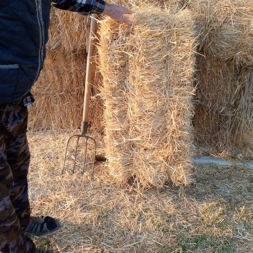Сено солома в тюках