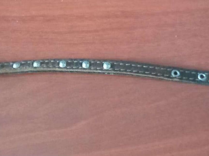 Ошейник для собак б/у - 38 см