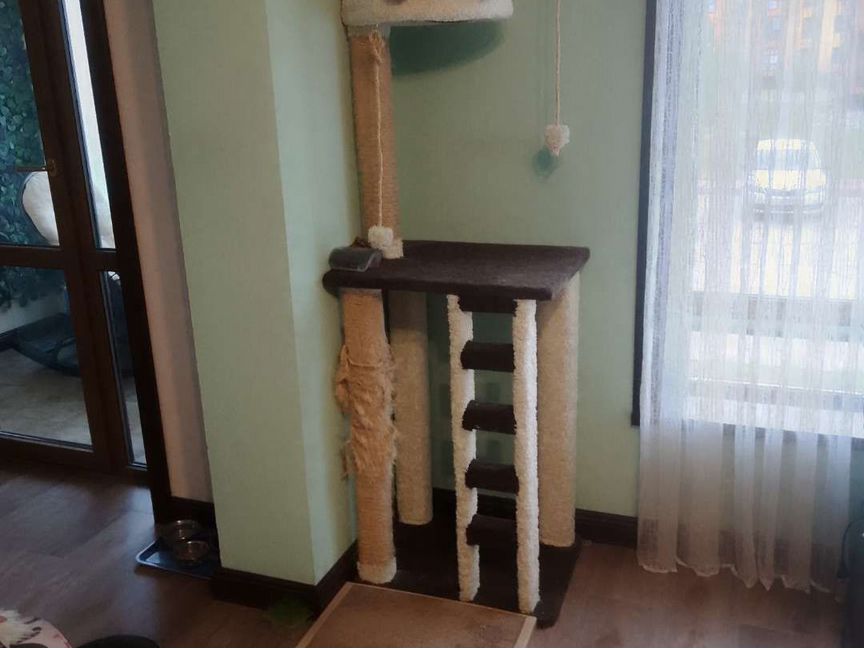 Домик для кота кошки