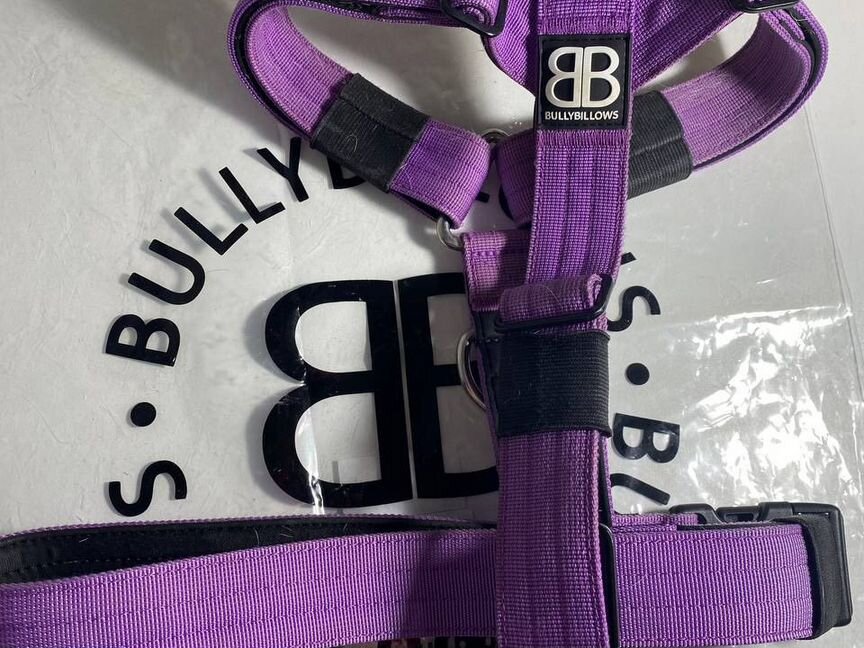 Шлейка TRI Bullybillows