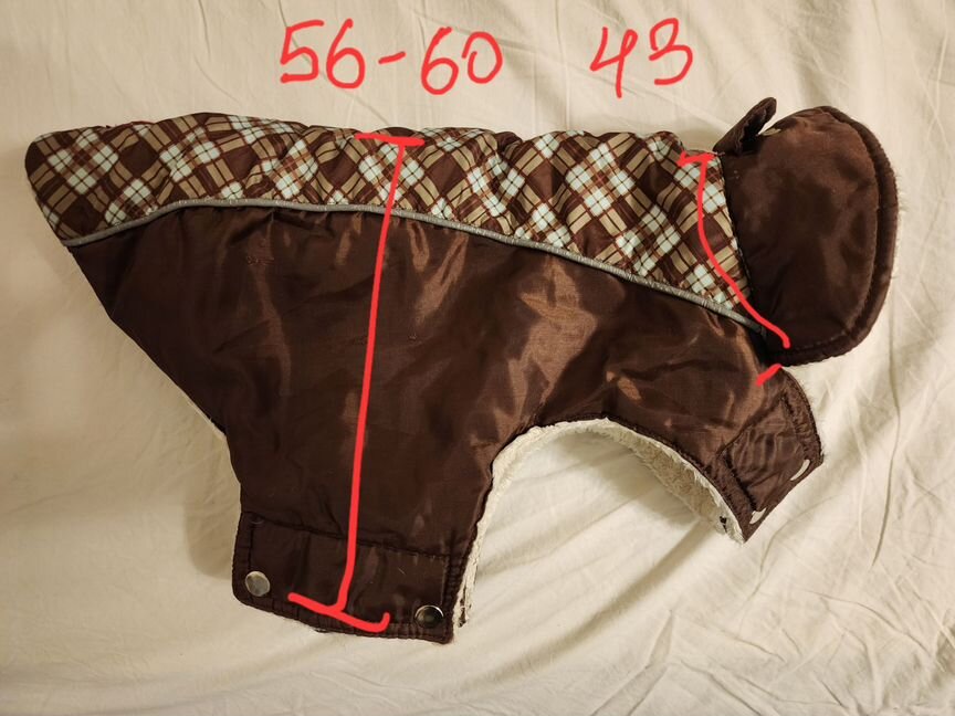 Одежда для средних собак