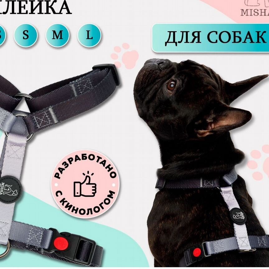Анатомическая шлейка
