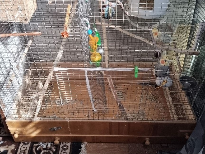 Клетка для крупного попугая