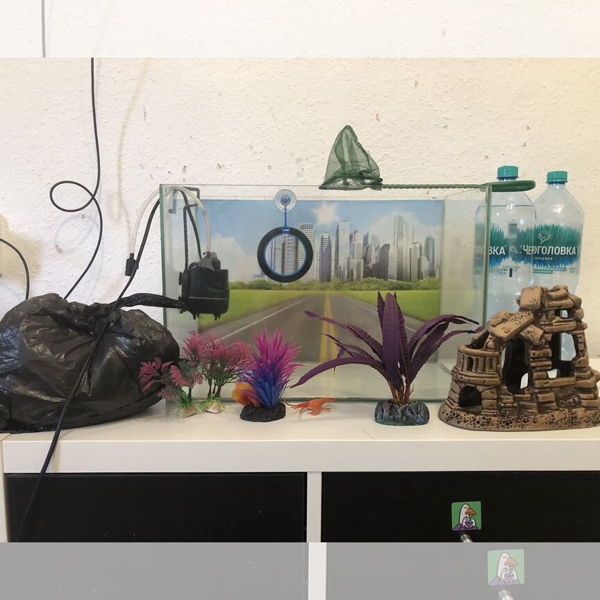 Аквариум 30 л декор фильтр корм и тд