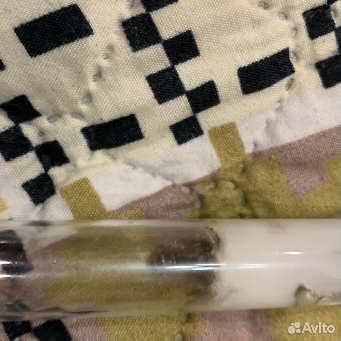 Муравьи лазиус нигер