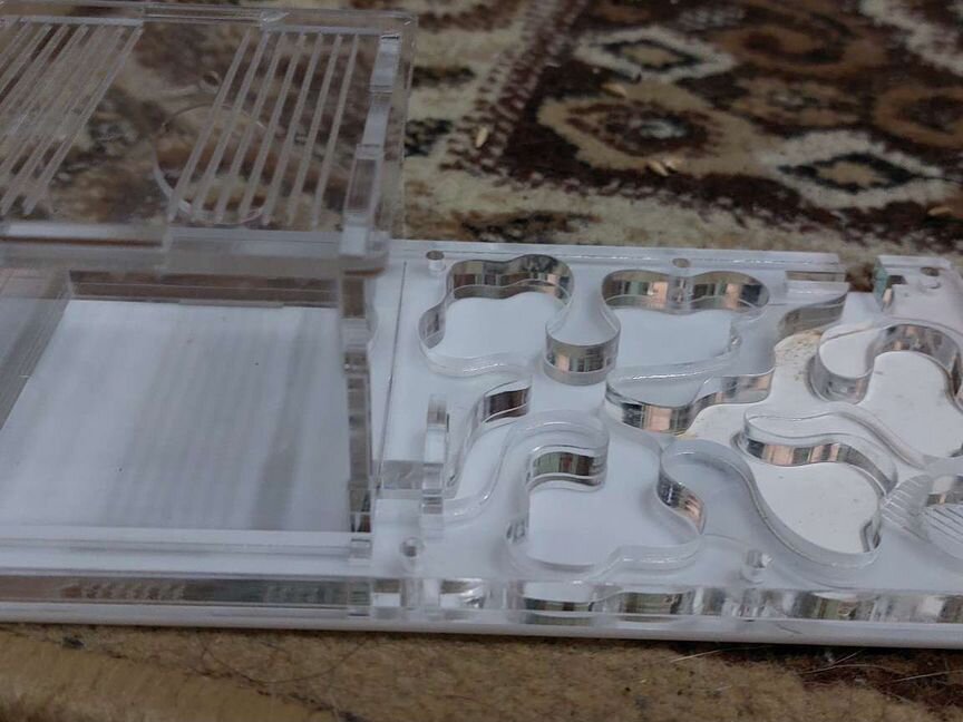 Формикарий (муравейник)