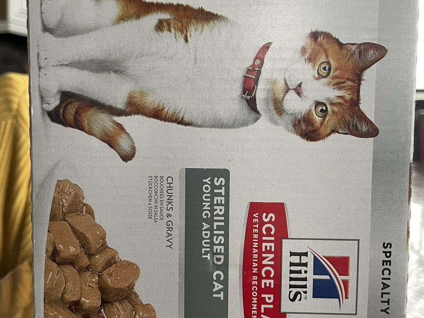 Кошачий влажный корм hills