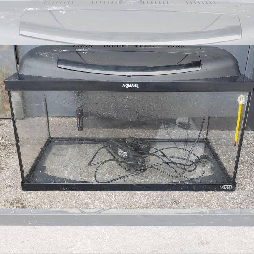 Аквариумные рыбки