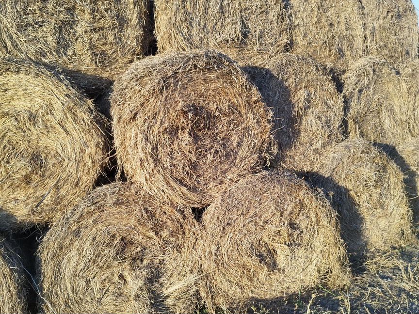 Сено в рулонах с доставкой