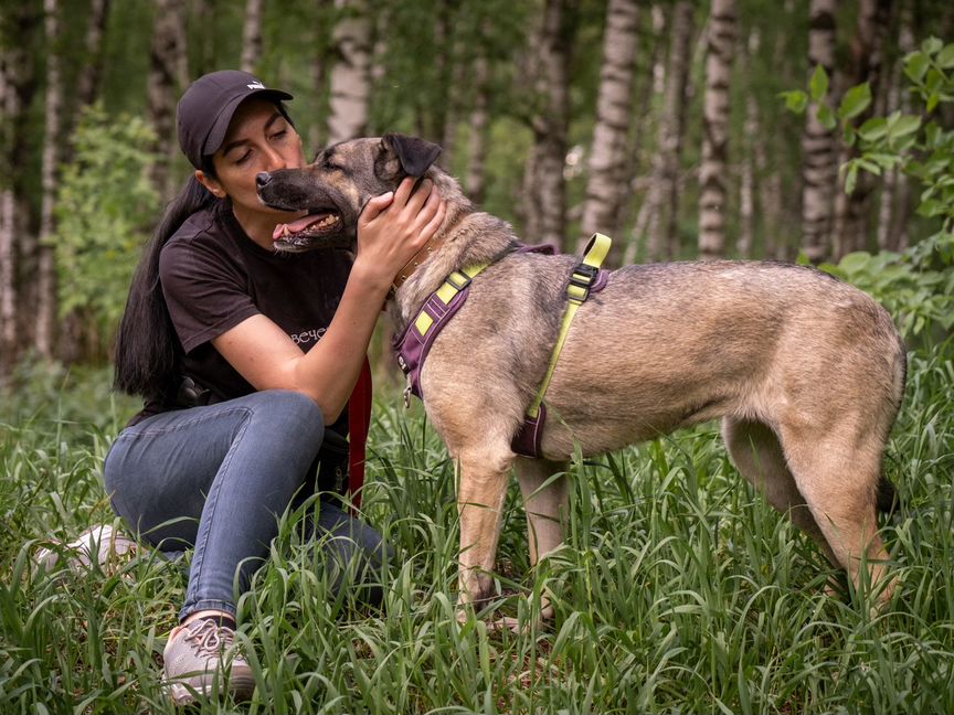 Спокойная собачка мечтает о любящей семье