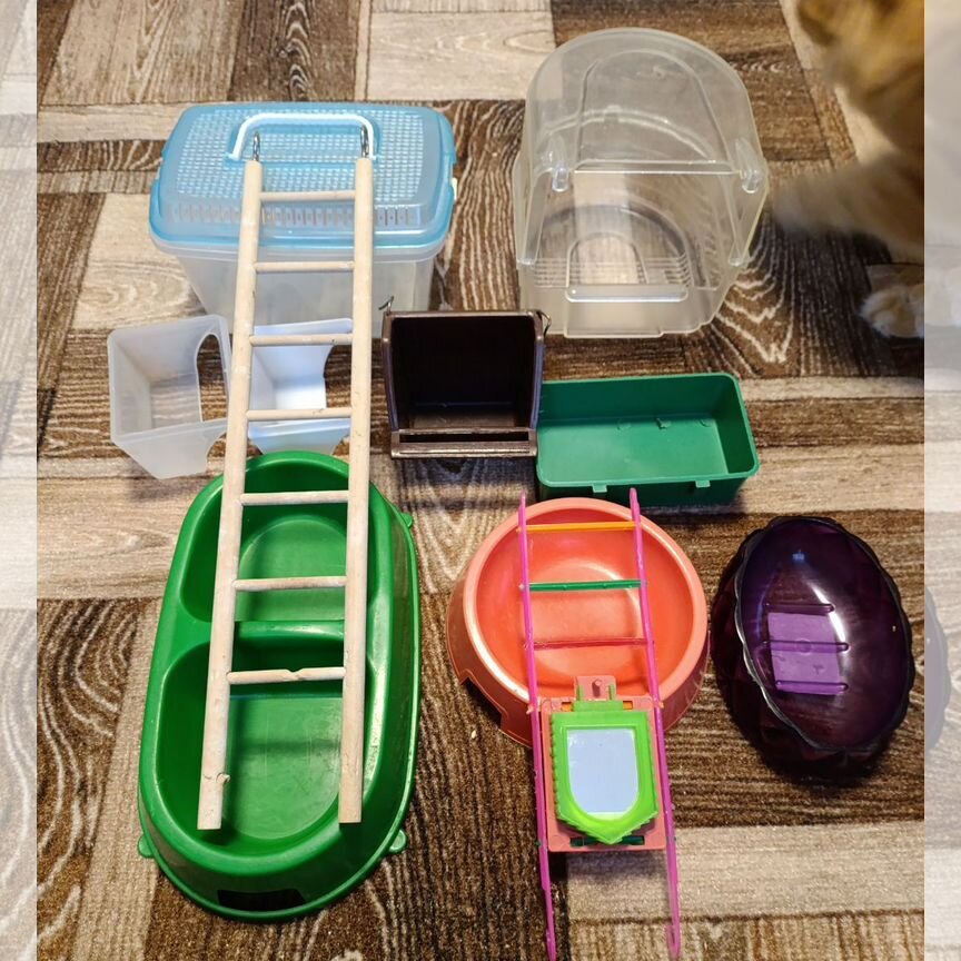 Принадлежности для попугаев