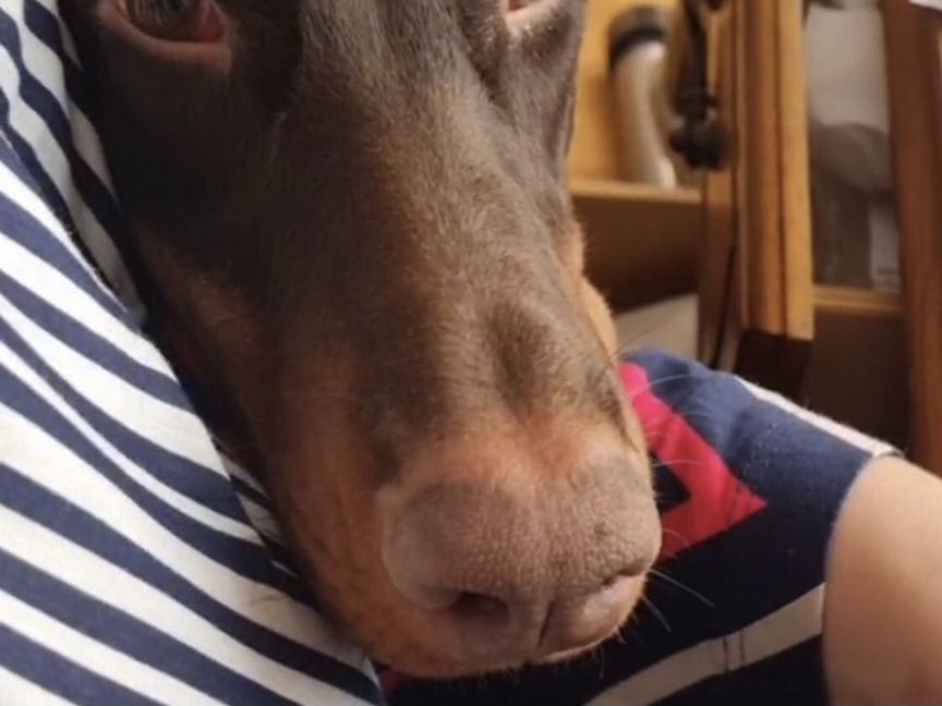 Помощь собаке Бэтти