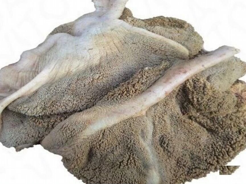 Желудок, рубец говяжье