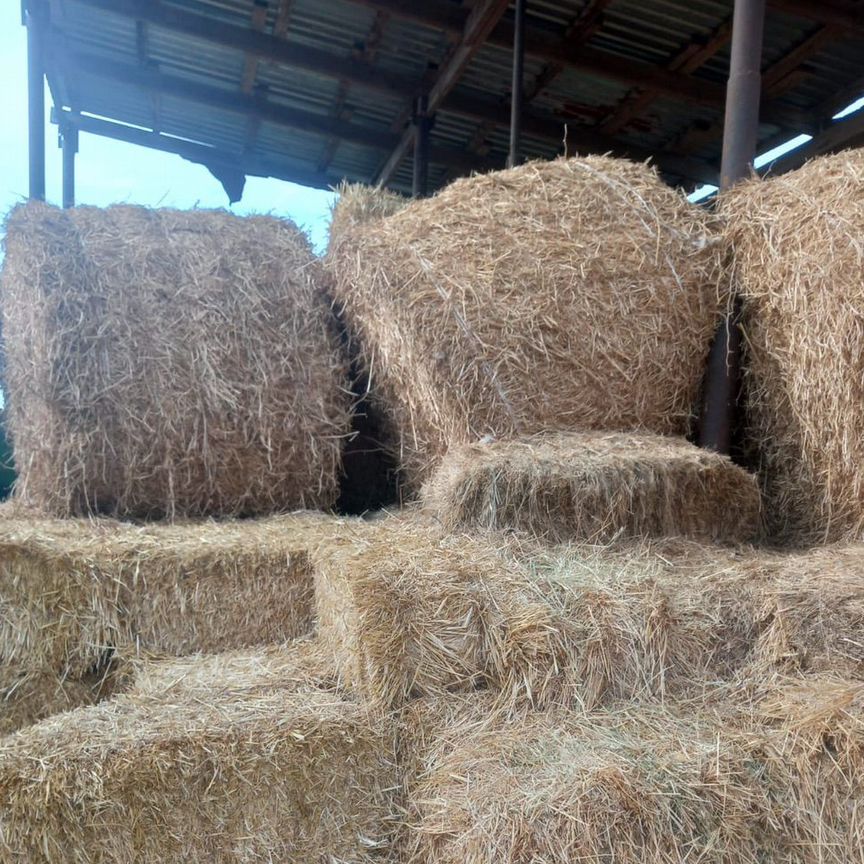 Сено в тюках