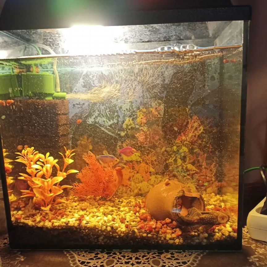 Аквариум с рыбками