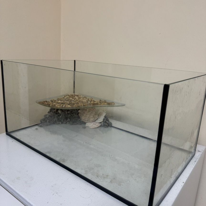 Черепашник аквариум