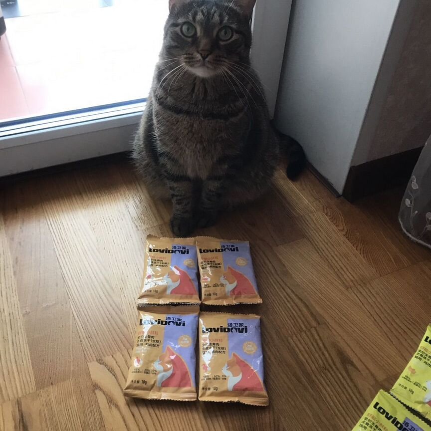 Лакомства для кошек lovidovi dear buddu