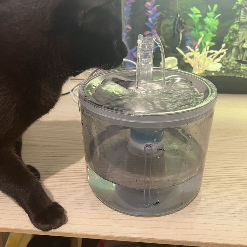 Фонтанчик для кошек