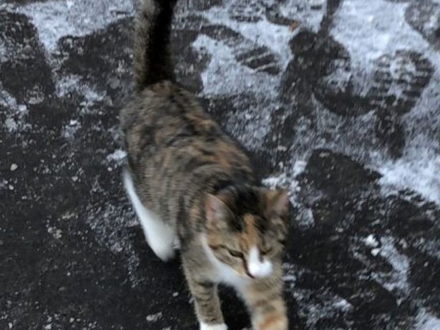 Малышка Мурзилка молоденькая