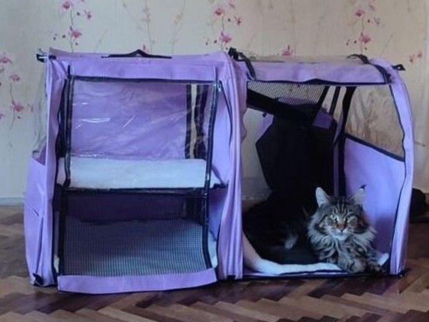 Палатка домик для выставки кошек