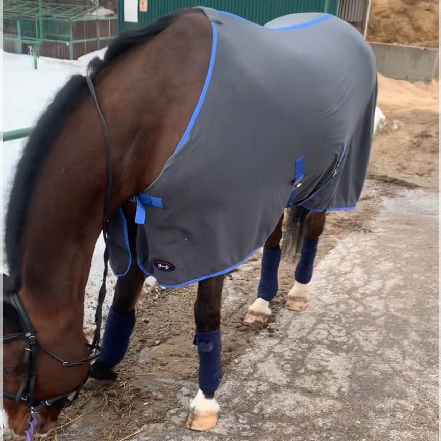 Попона флисовая для лошади