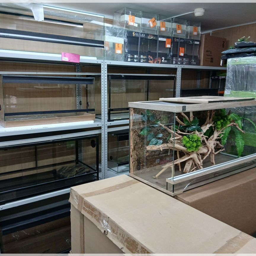 Террариумы: готовые и под заказ