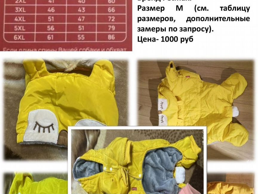 Одежда для любимого питомца