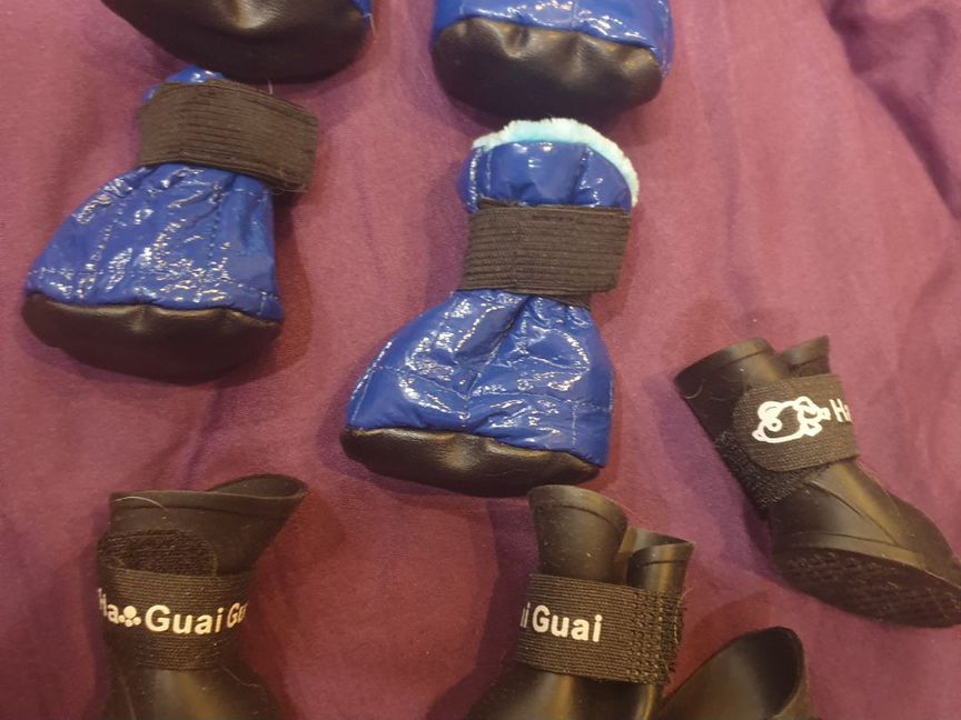 Обувь для маленькой собачки