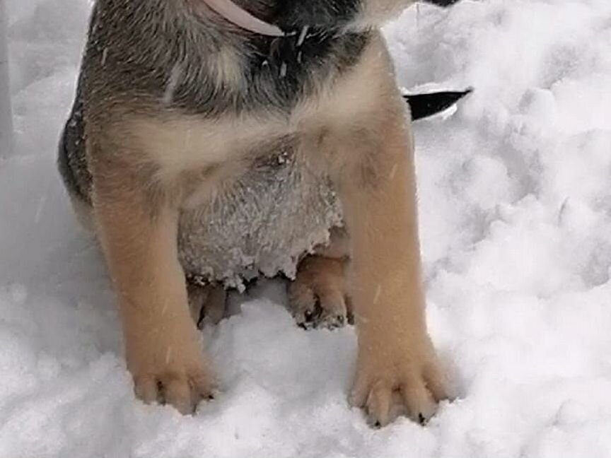 Ка де бо
