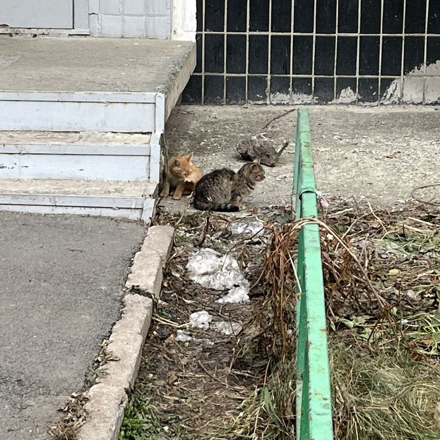 Малыши замерзают на улице