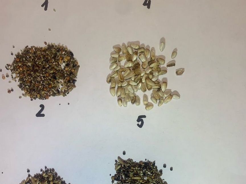 Корма для декоративных и певчих птиц