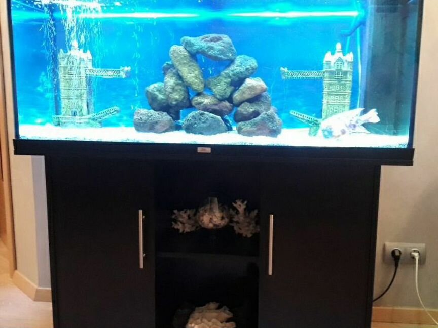 Аквариум с тумбой Juwel Rio на 240 литров