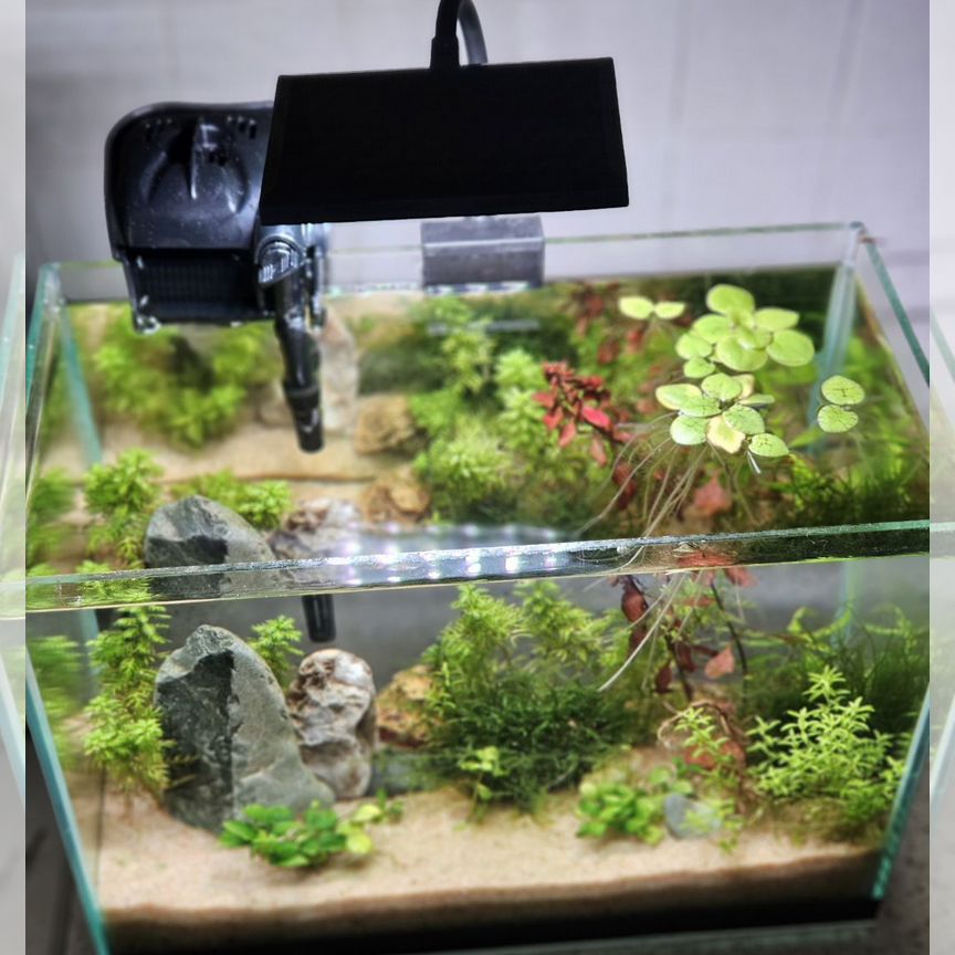 Аквариум 13л