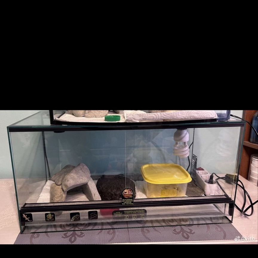 Террариум  комплектация