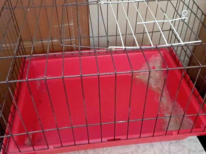 Клетка для грызунов бу