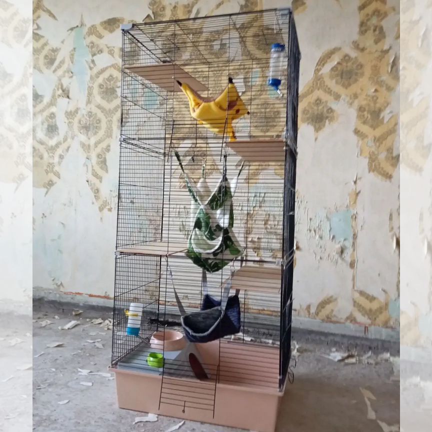 Клетка для грызунов